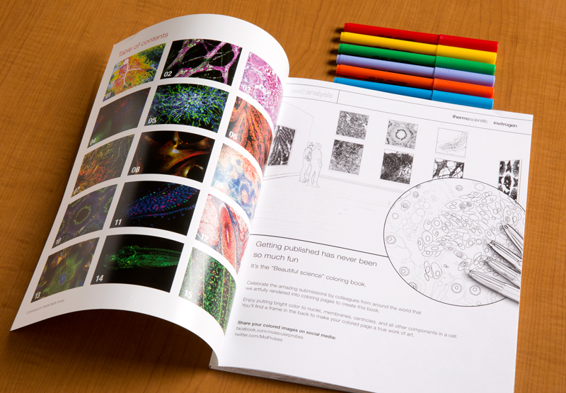 RS+K • Thermo Fisher Scientific Beautiful Science Promotional Campaign