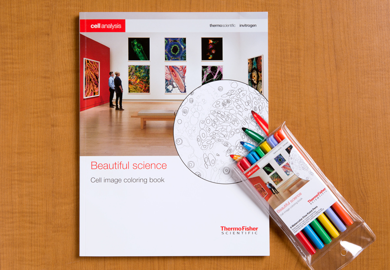 RS+K • Thermo Fisher Scientific Beautiful Science Promotional Campaign